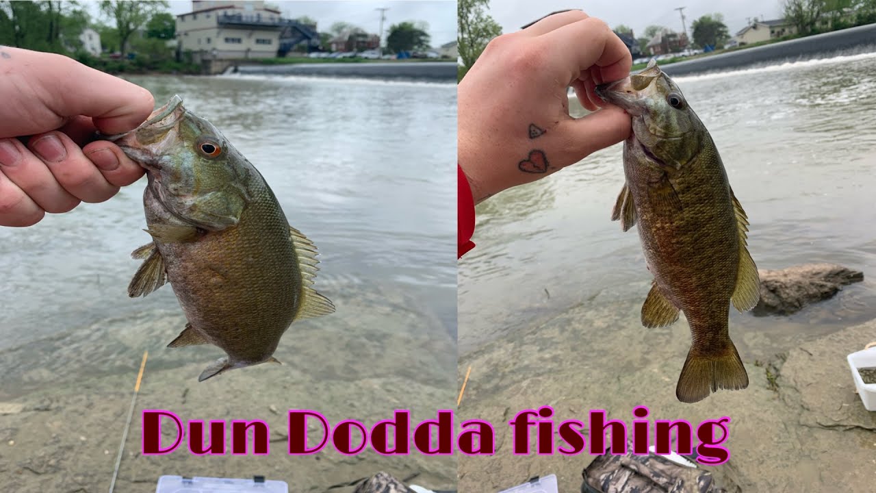 Small Mouth Bass (CatchClean&Cook) invasive fish caught. - YouTube