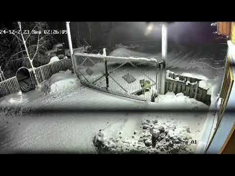 Серый разбойник был наказан. - YouTube