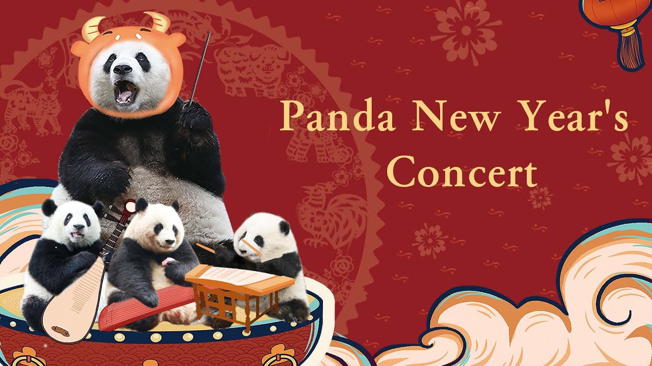 Panda New Year's Concert - Golden Snake Dance | iPanda - YouTube