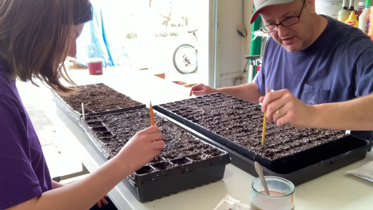 Starting Seeds In HOSS TOOLS Seed Start Tray YouTube starting-seeds-in-hoss-tools-seed-start-tray-youtube