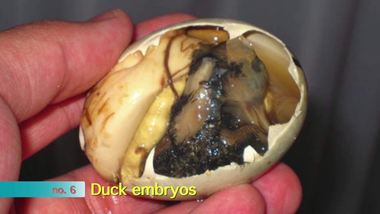 10 disgusting and revolting foods people actually eat - YouTube