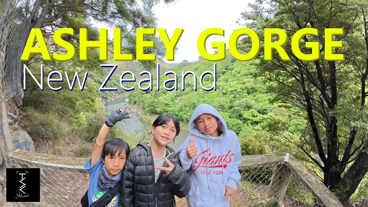 🇳🇿 Ashley Gorge Walk || New Zealand - Short, Fun and Beautiful track 💯 ...