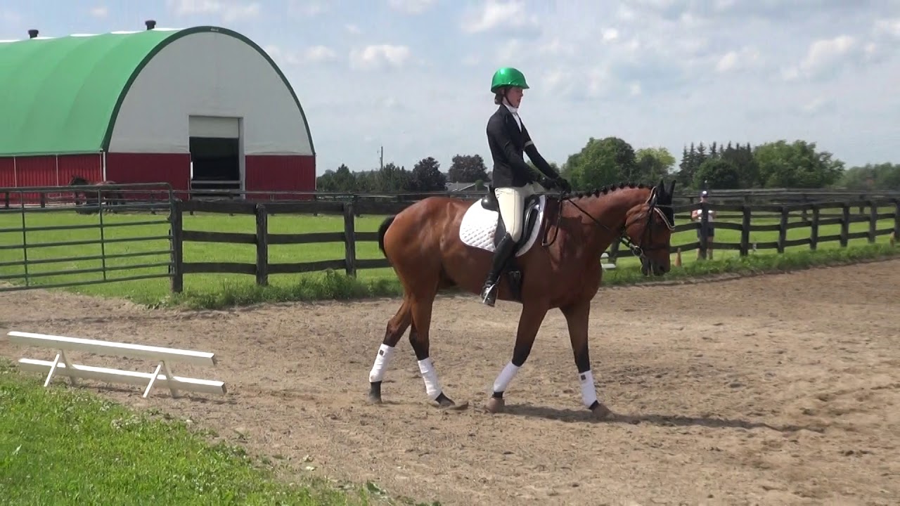 Canadian Pony Club B Test- Dressage - YouTube