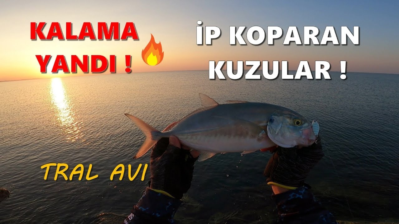 LRF MİCRO JİGLER İLE TRAL AVI - KUZU AVI ANTALYA ATÇEK BALIK AVI - YouTube