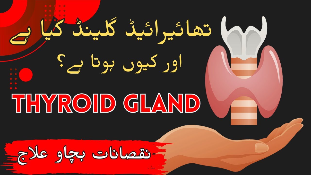 Thyroid Gland Causes, Symptoms, Preventions & Treatment | Doctors News ...