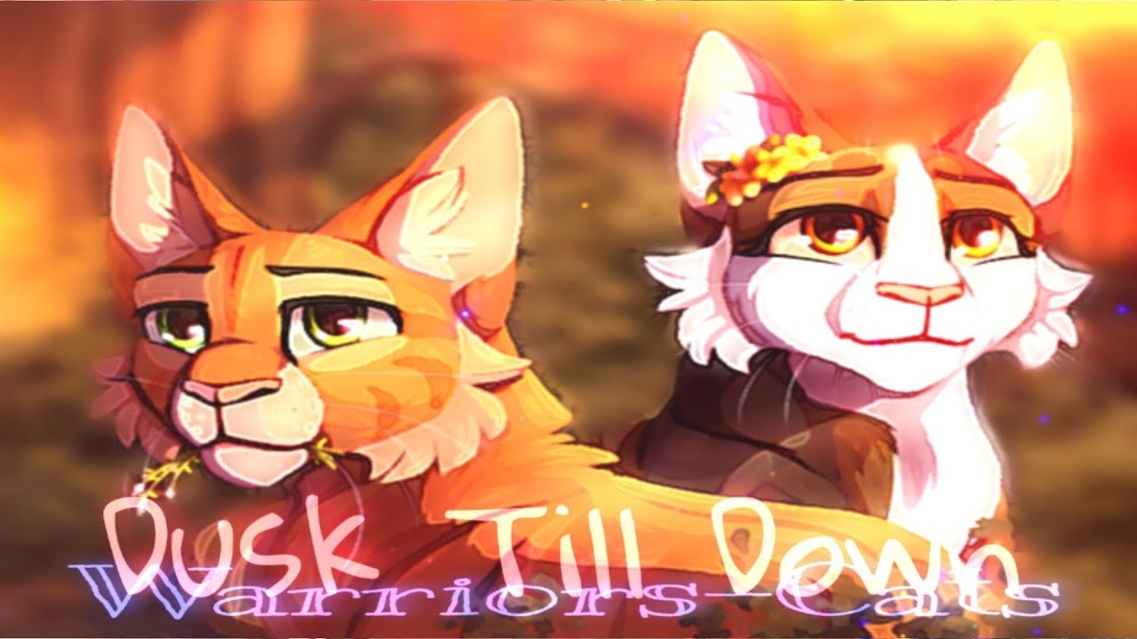 Fire Star and Spottedleaf•||• Dusk Till Dawn•||• Warriors-Cats•||• WC ...