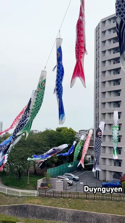 Koinobori Matsuri là lồng đèn cá chép rực rỡ tuyệt đẹp #remix #dj #edm ...