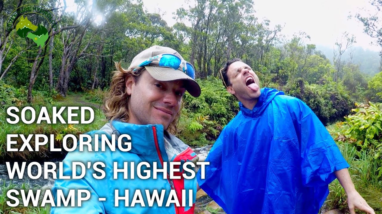 EXPLORE THE WORLD'S HIGHEST SWAMP | KAUA'I | ADVENTURE HYDROLOGY | THE ...