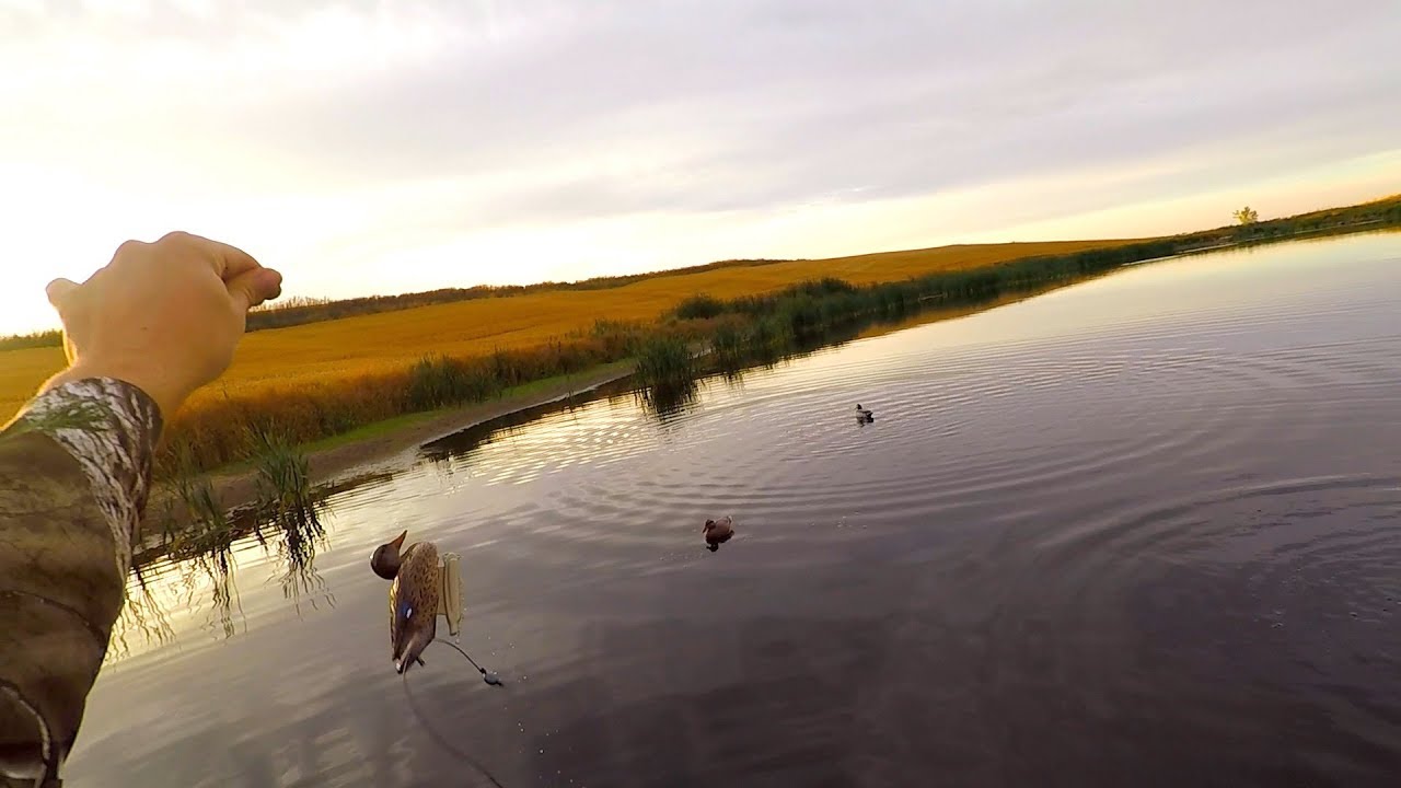 Opening Day Duck Season 2018 - YouTube