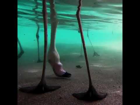 hg^:hwv hg^:hwv j;ks gdfdh lzv lhgd kd^v hgs;$hk fhmsjhk hlvdmh tvksh ...