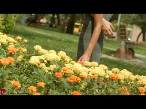 230-000497 PIERRE CARDIN EDUSA SEAMLESS TAYT