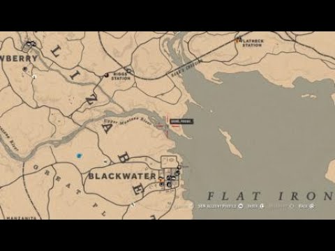 Red Dead Redemption 2_ Redfin pickerel location - YouTube