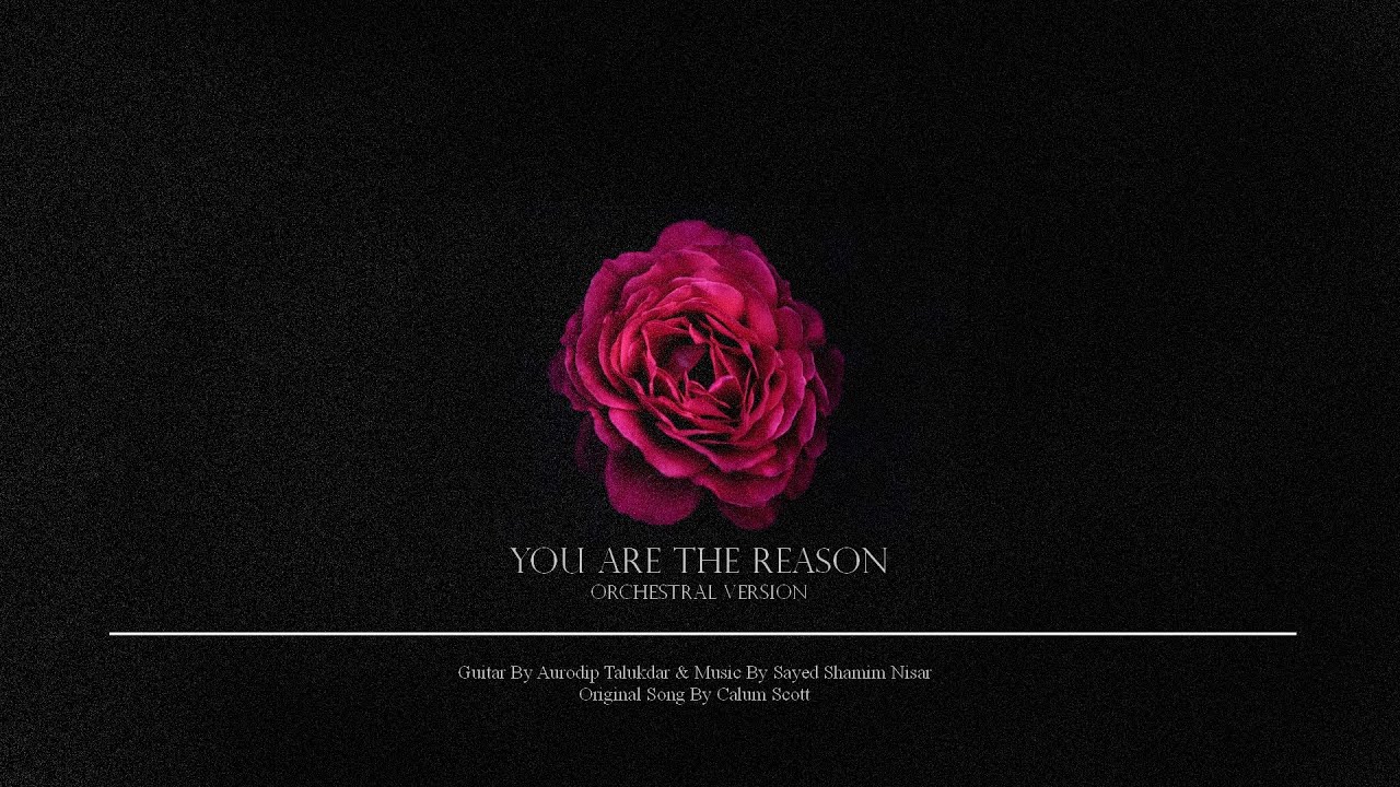 You Are The Reason - Sayed Shamim Nisar (Orchestral Cover) - YouTube