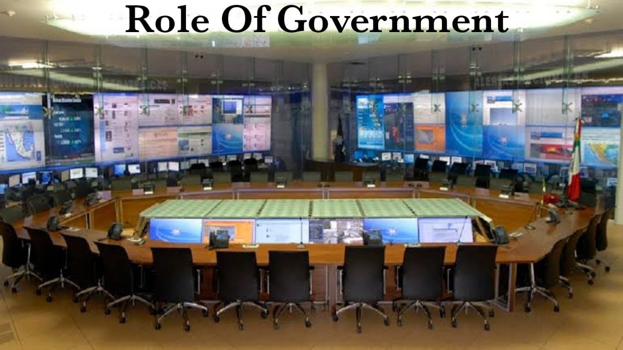 "The Government Role" class 8 civics ncert - YouTube