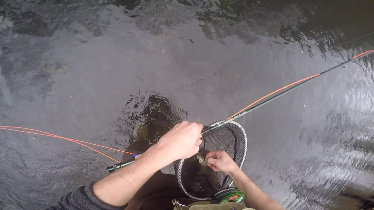 Nymph Fly Fishing The Elk River Tennessee - YouTube