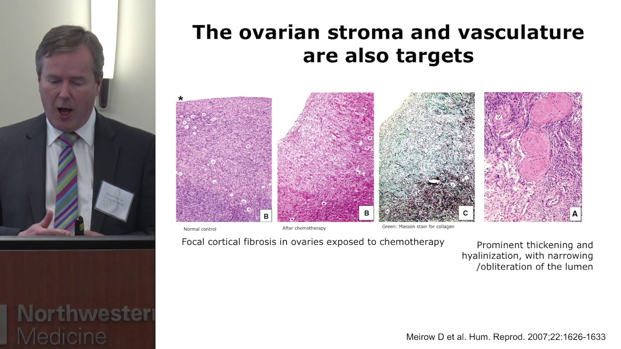 2018 Oncofertility Conference: Richard Anderson, MD, PhD - YouTube