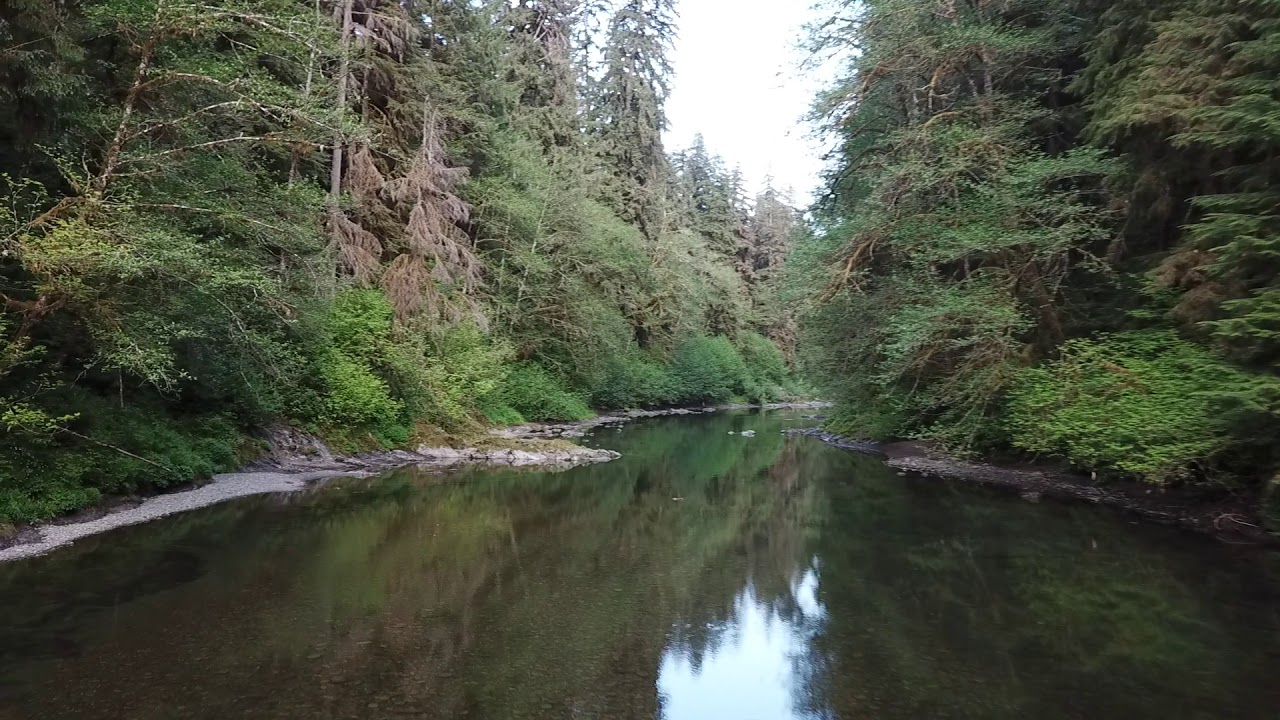 Calawah River - YouTube