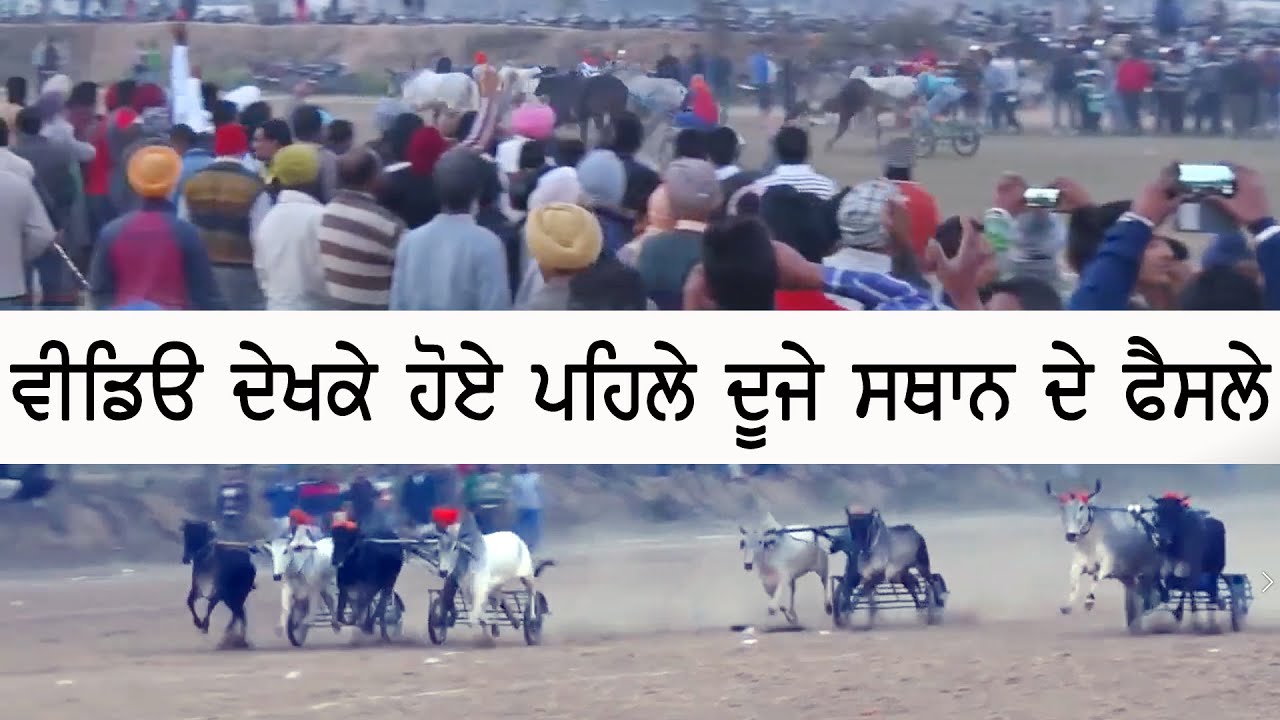 Ox Races | ਹੀਟਾਂ ਵਾਲੀਆਂ ਦੌੜਾ | ਵੀਡੀਓ ਦੇਖਕੇ ਹੋਏ ਸੀ ਪਹਿਲੇ ਦੂਜੇ ਸਥਾਨ ਦੇ ...