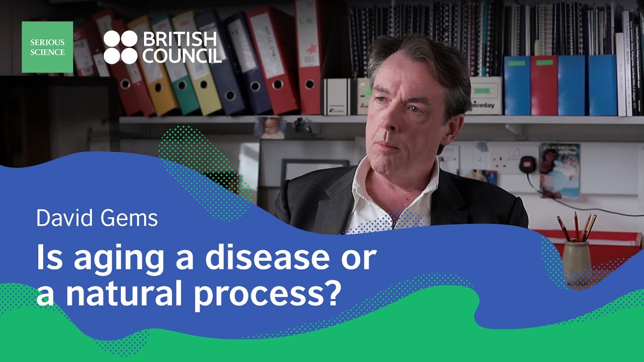 Aging and Disease — David Gems / Serious Science - YouTube