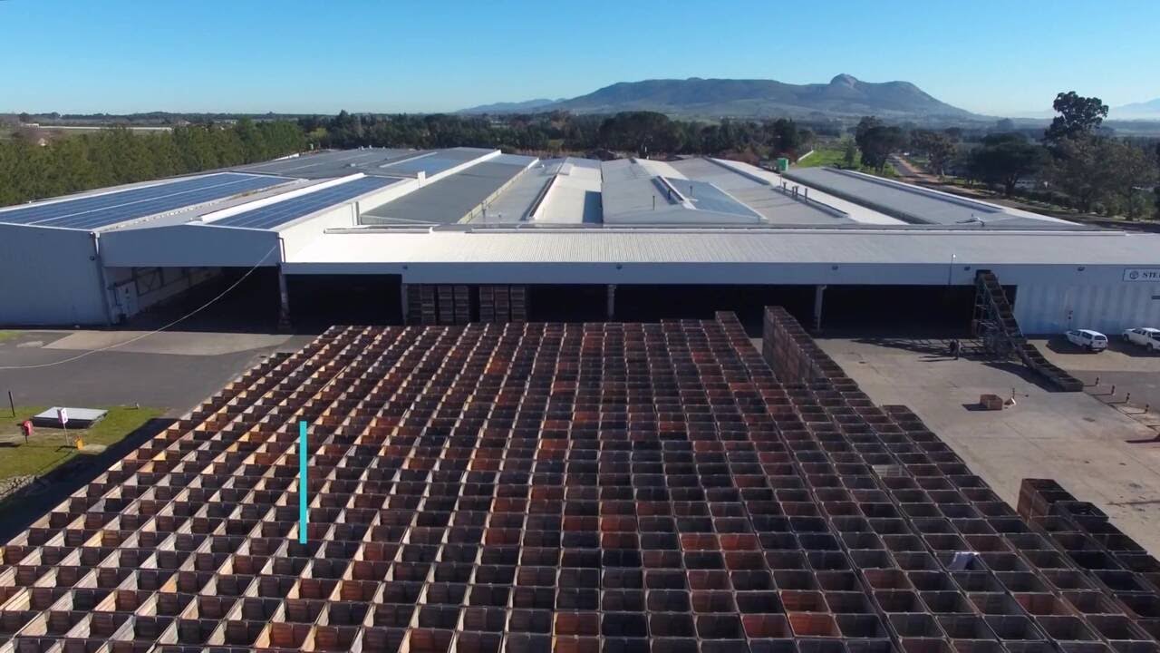 Customer Story - Stellenpak - Integrated Citrus Solution - YouTube