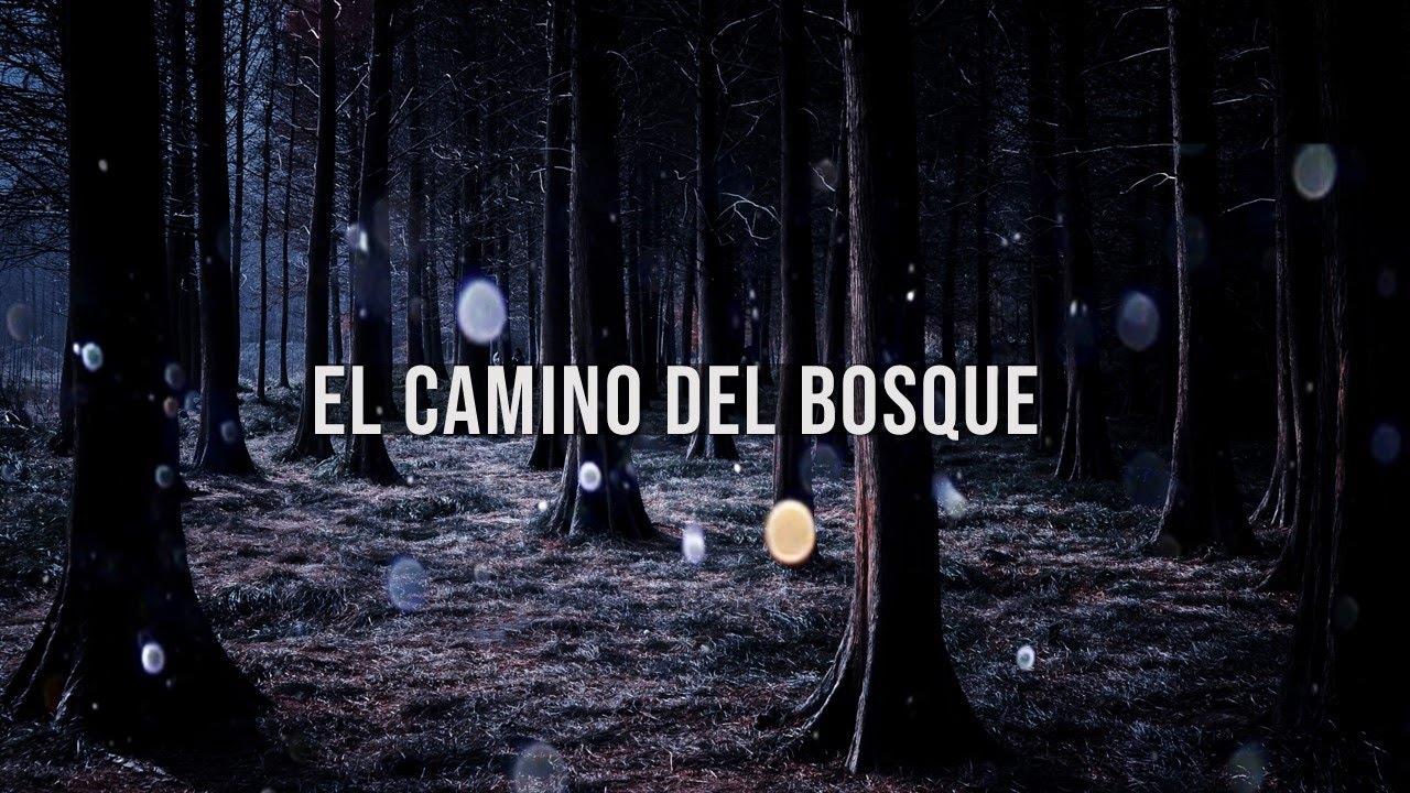 El Camino Del Bosque (Relatos De Terror) - YouTube