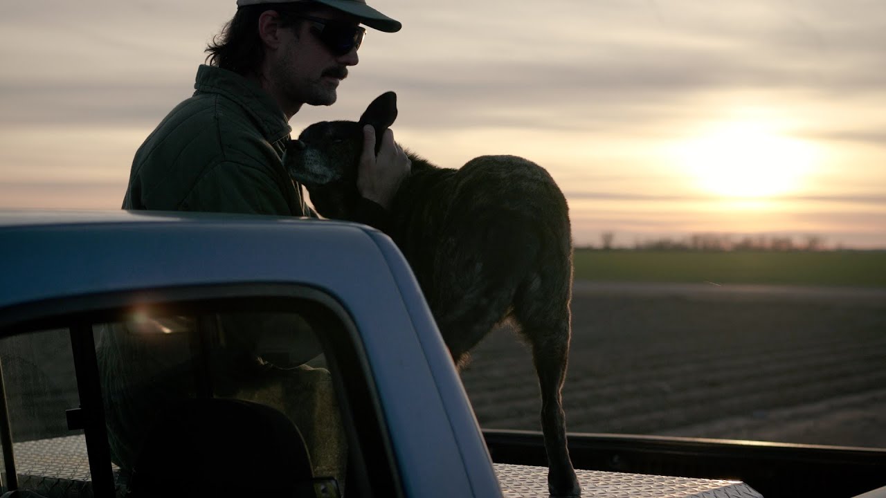 Dylan Earl - "White Painted Trees" (Official Music Video) - YouTube