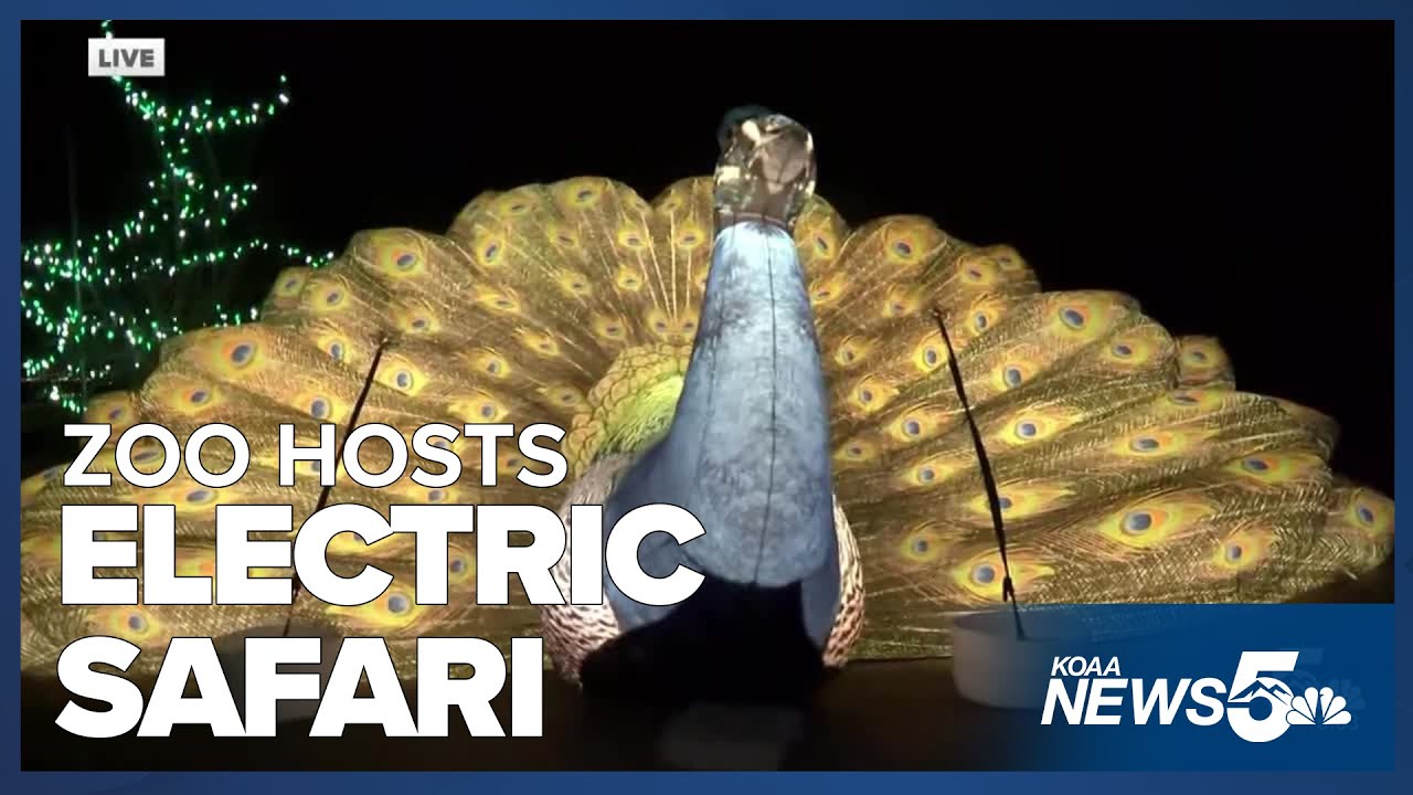 Electric Safari begins at Cheyenne Mountain Zoo - YouTube