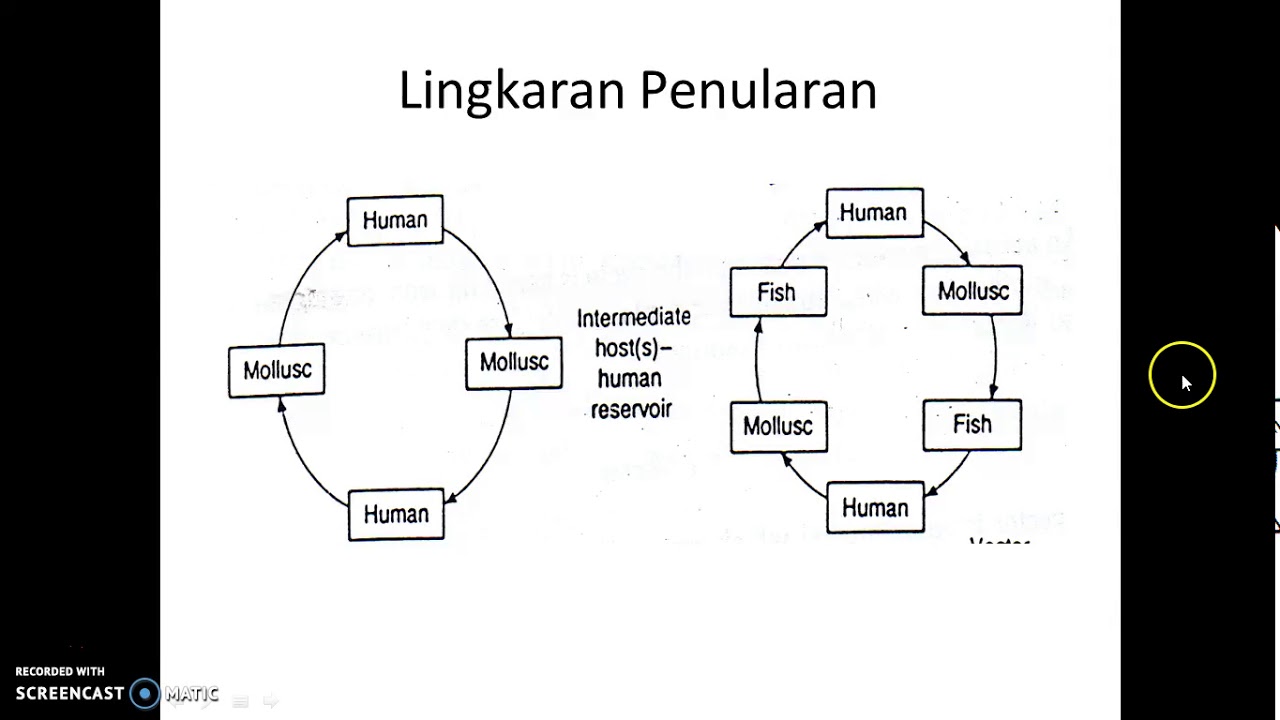 Cara Penularan Penyakit - YouTube