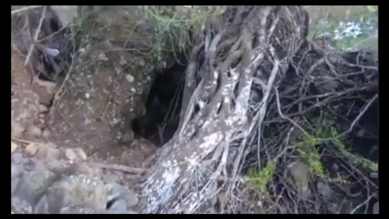 WW2 LOST GOLD ARE HERE,yamashita treasure hunting guide... - YouTube