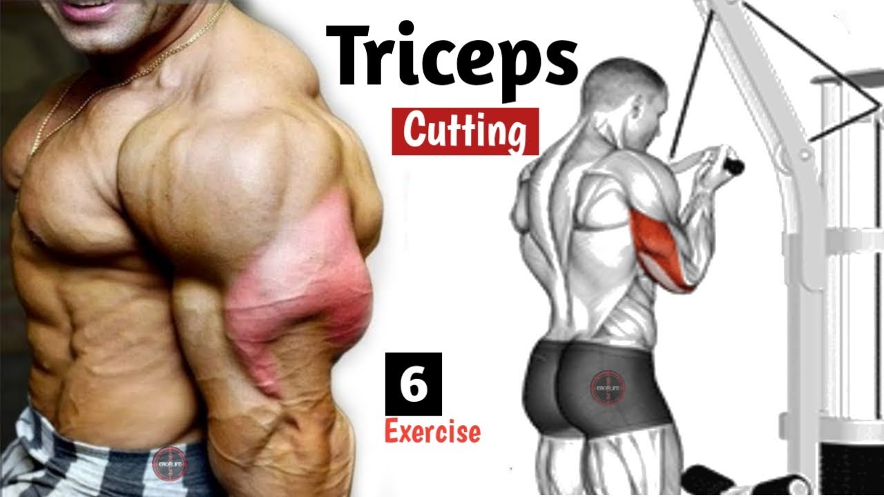 Triceps Mass Workout at The Gym | ERORLIFE FITBODY - YouTube