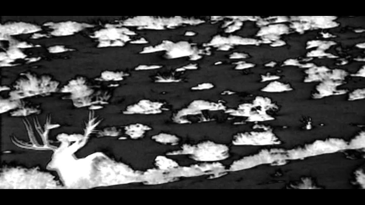 "Popeye" The Buck - YouTube