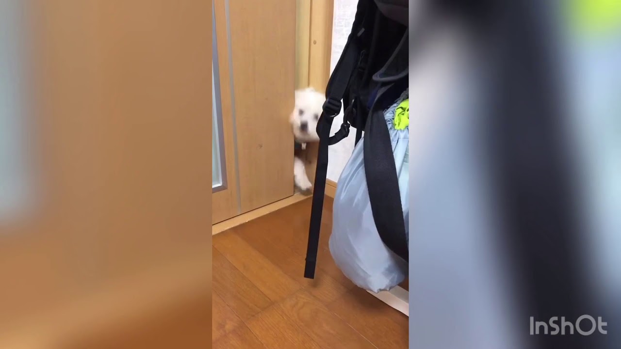 creeping into my room👋👋 - YouTube