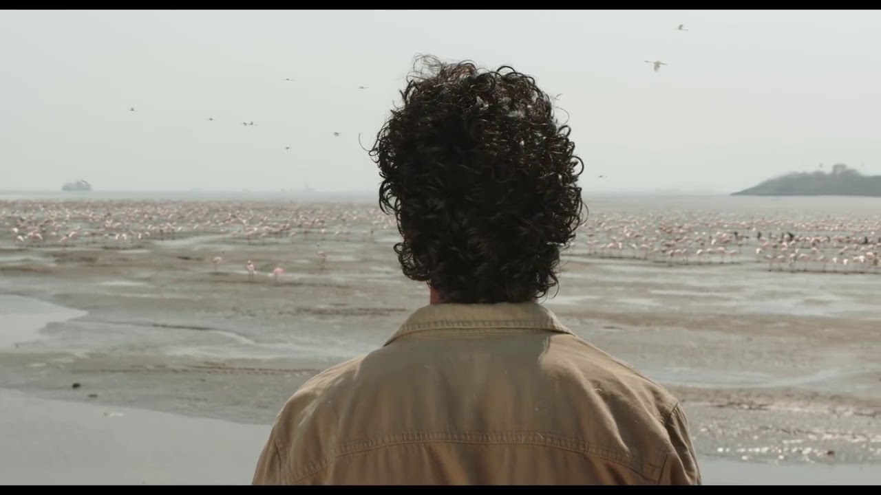 Afan ali(20) - YouTube