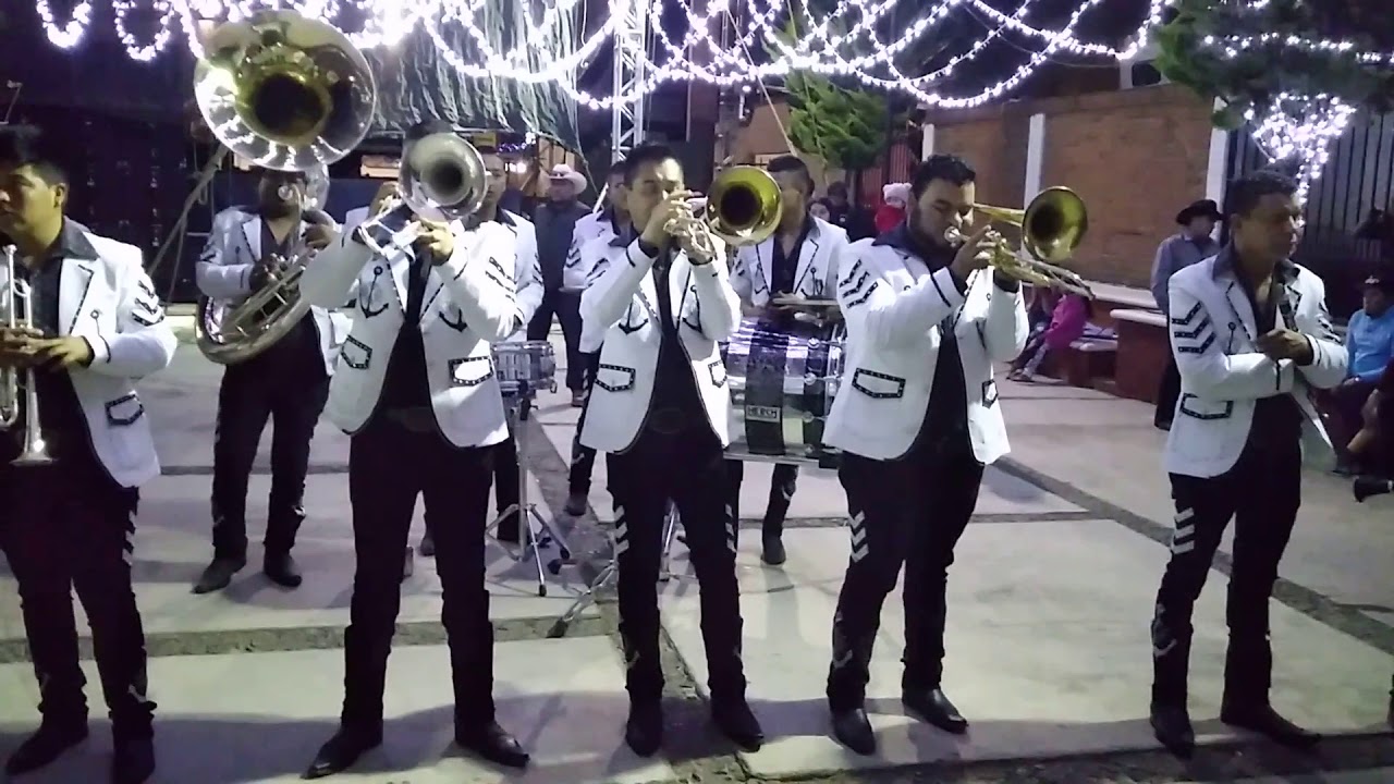Banda Marinos de Agua Azul Gto. - Mis Flores Negras (Live) - YouTube
