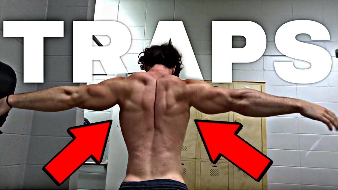 BUILDING The BEST TEEN PHYSIQUE | Derek Martin Back Day - YouTube