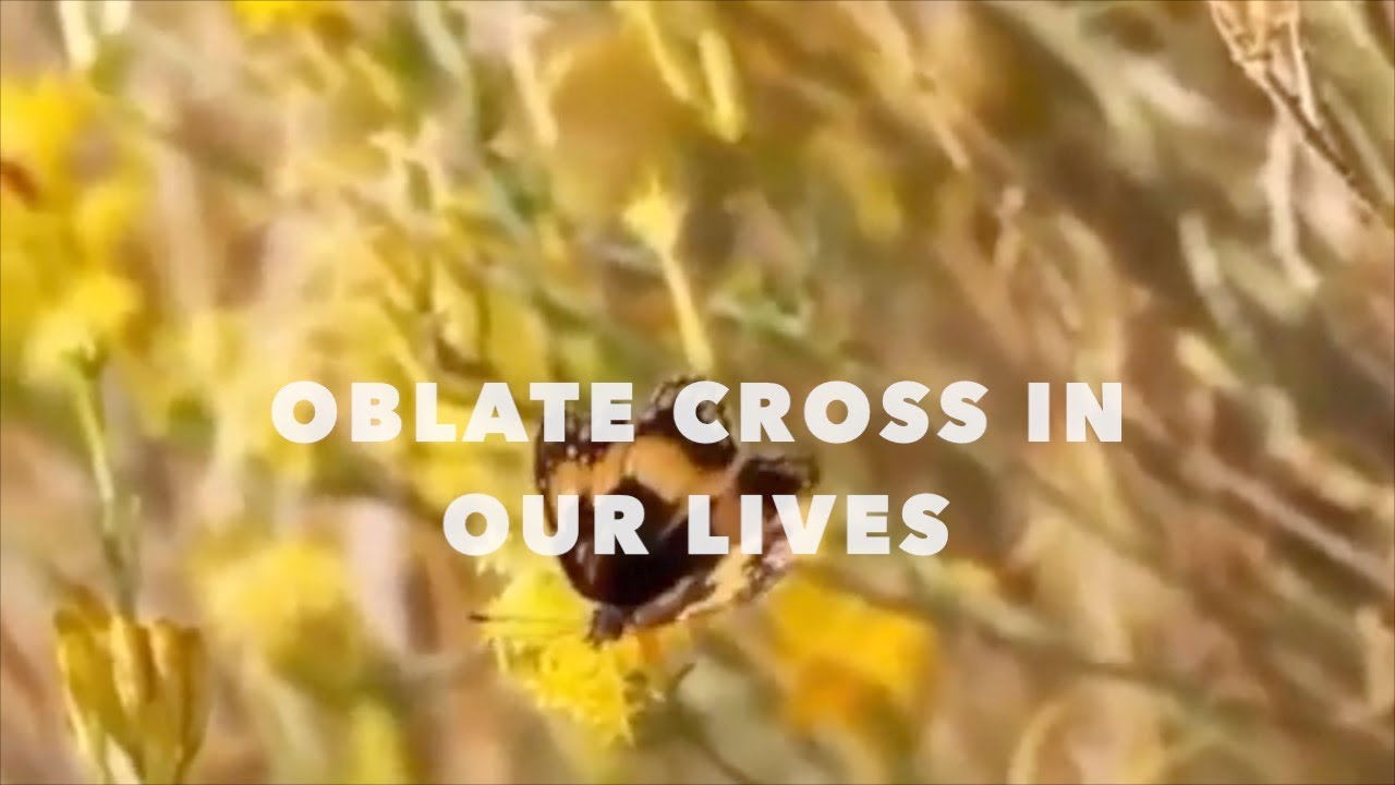 OBLATE CROSS IN OUR LIVES - YouTube