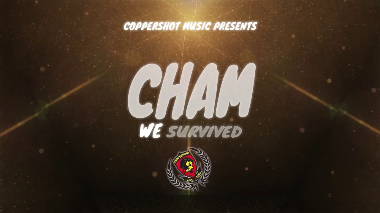 Baby Cham - We Survived (Official Lyrics Video) - YouTube Music
