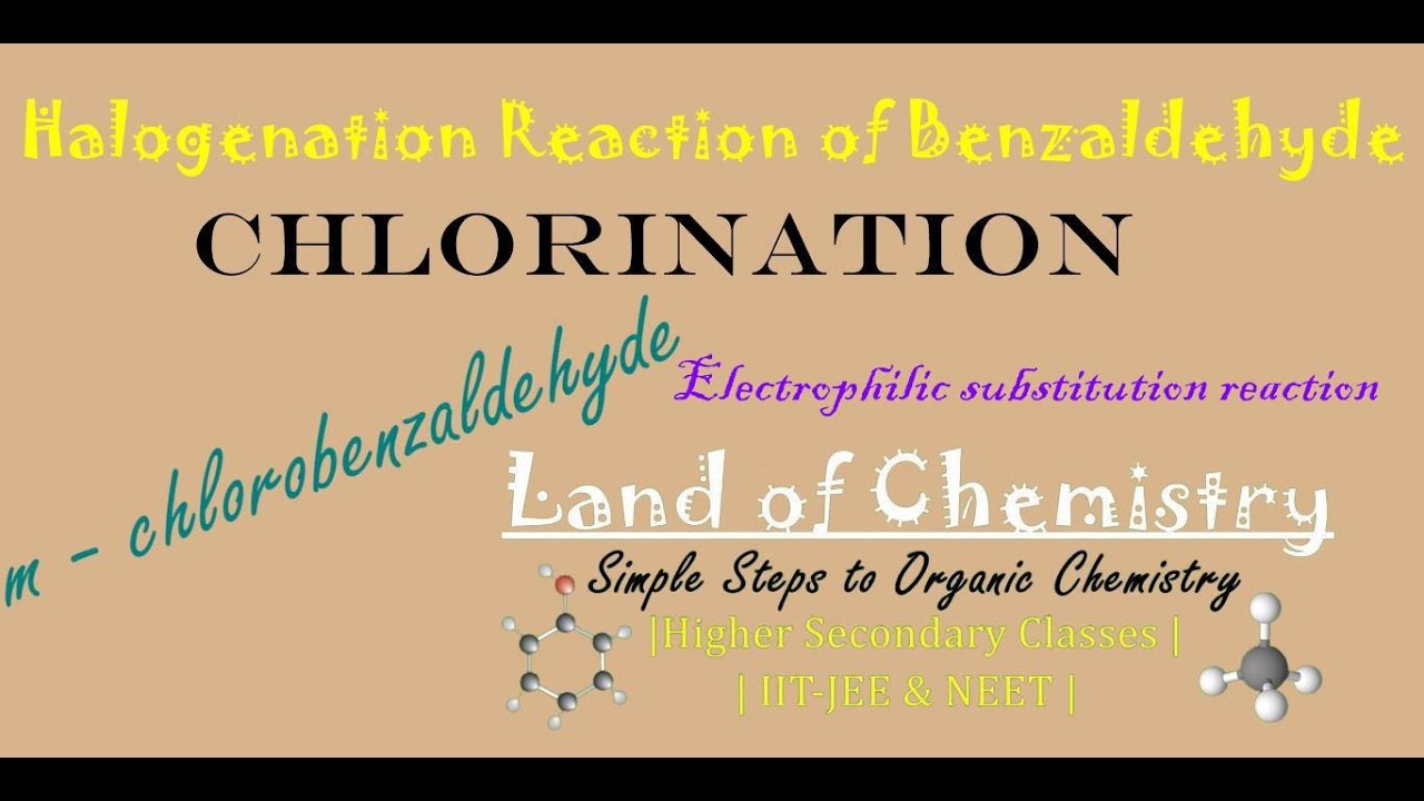 Halogenation Reaction of Benzaldehyde|Chlorination| m ...