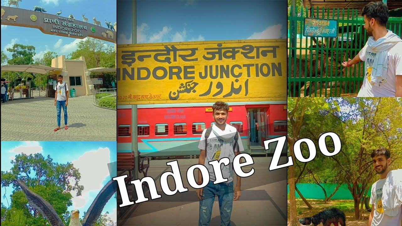 Indore Zoo😍 || Best Zoo & Key Point of travelling || Indore || Madhya ...