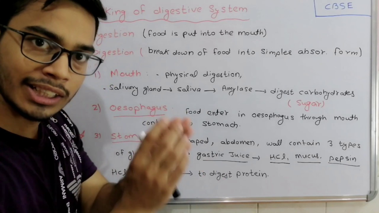 Humen Digestive System (Life Process) || class 10 Science || Full ...