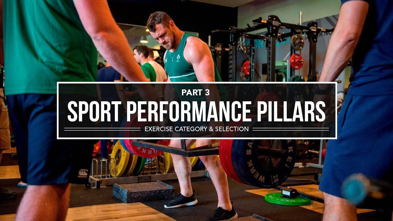 Sport Performance Pillars | Exercise Classification & Selection ...