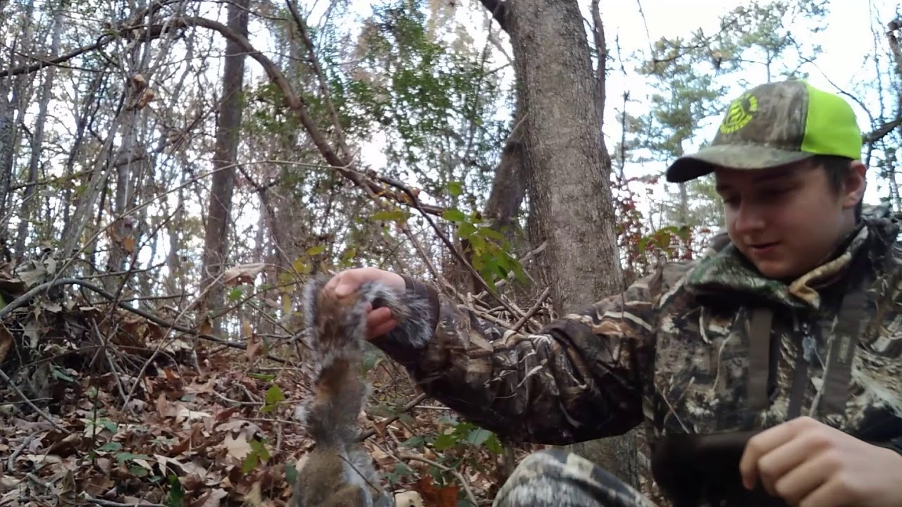 Tree rat hunting - YouTube