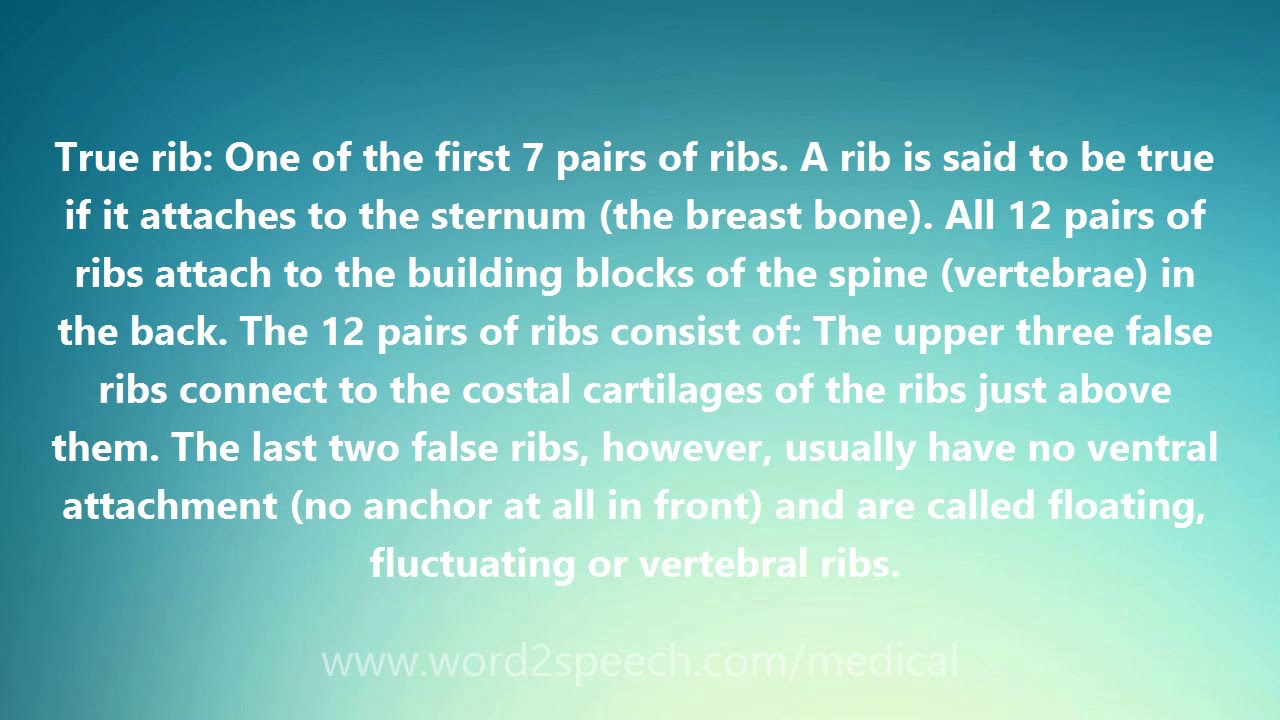 True rib - Medical Definition and Pronunciation - YouTube