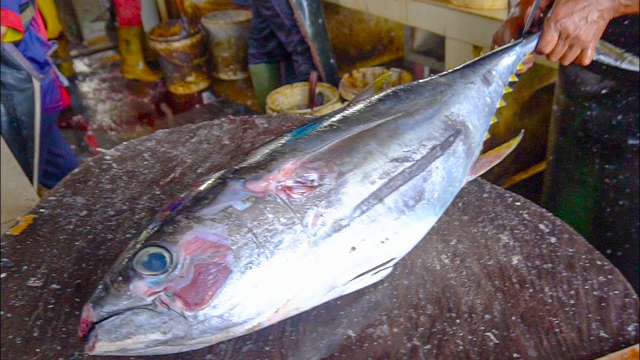 TUNA FISH CUTTING COMPILATION IN TRADITIONAL FISH MARKET || TRADITIONAL ...