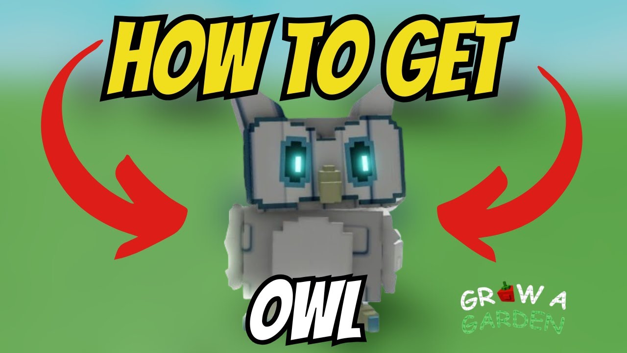 How To GET OWL In Grow A Garden [OWL SHOWCASE] Roblox - YouTube