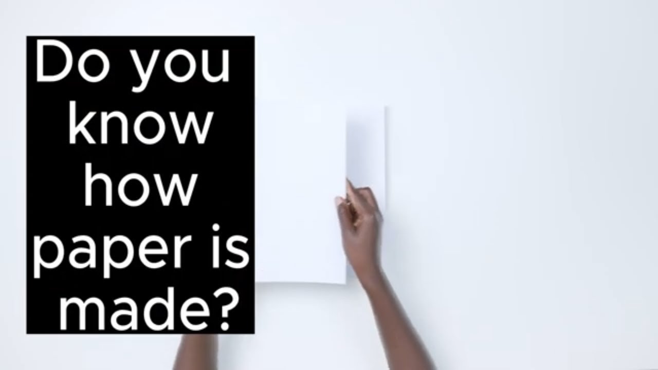 What is paper?||How paper is made ?||Advantages of paper||disadvantages ...