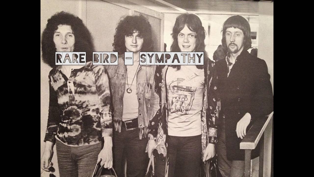 Rare Bird Sympathy - YouTube