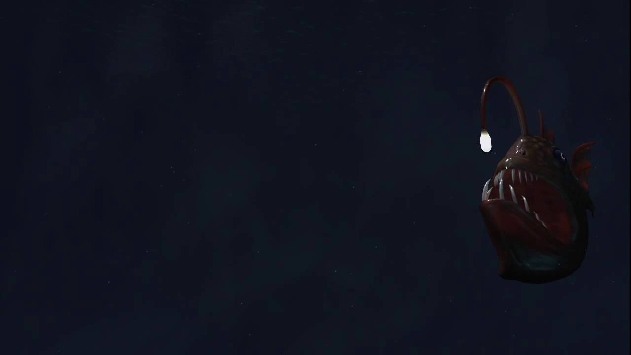 Deep Sea Fish Animation - YouTube