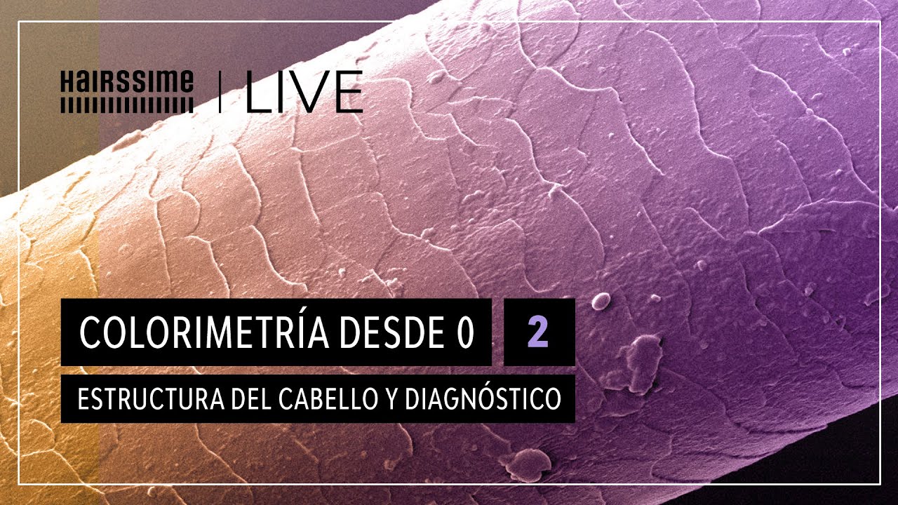 Colorimetría desde 0 - 2: Estructura del cabello y diagnóstico - YouTube