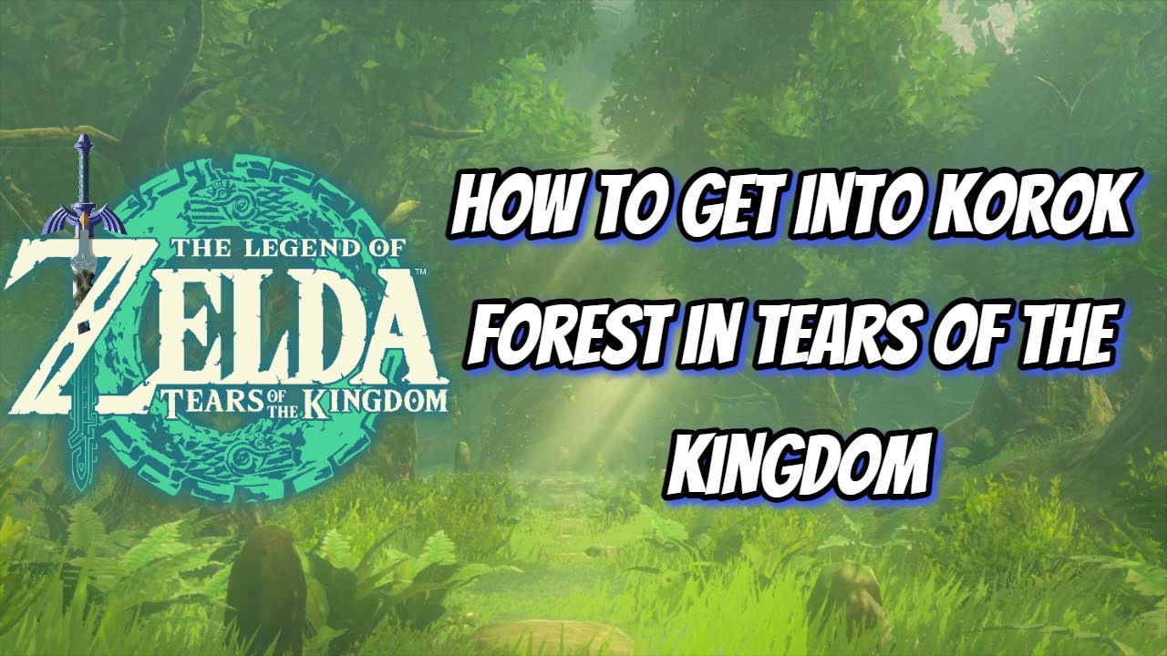 How To Get Into Korok Forest| Location, Guide & Strategy | Tears of the ...